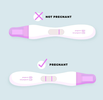 Dye Stealer Pregnancy Tests Unveiled: What You Need to Know